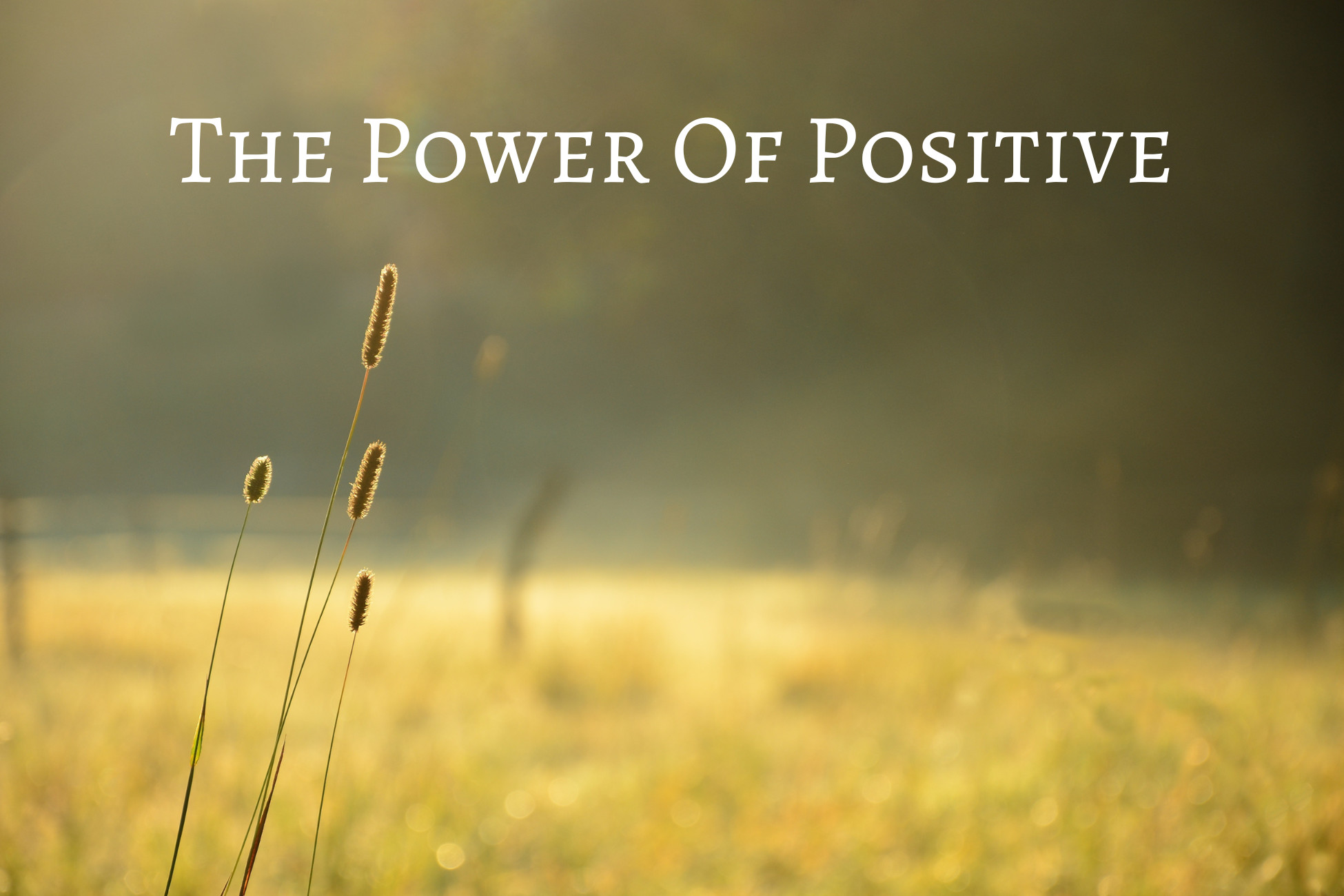 The Power Of Positive | Audio Ambient | Unity Asset Store