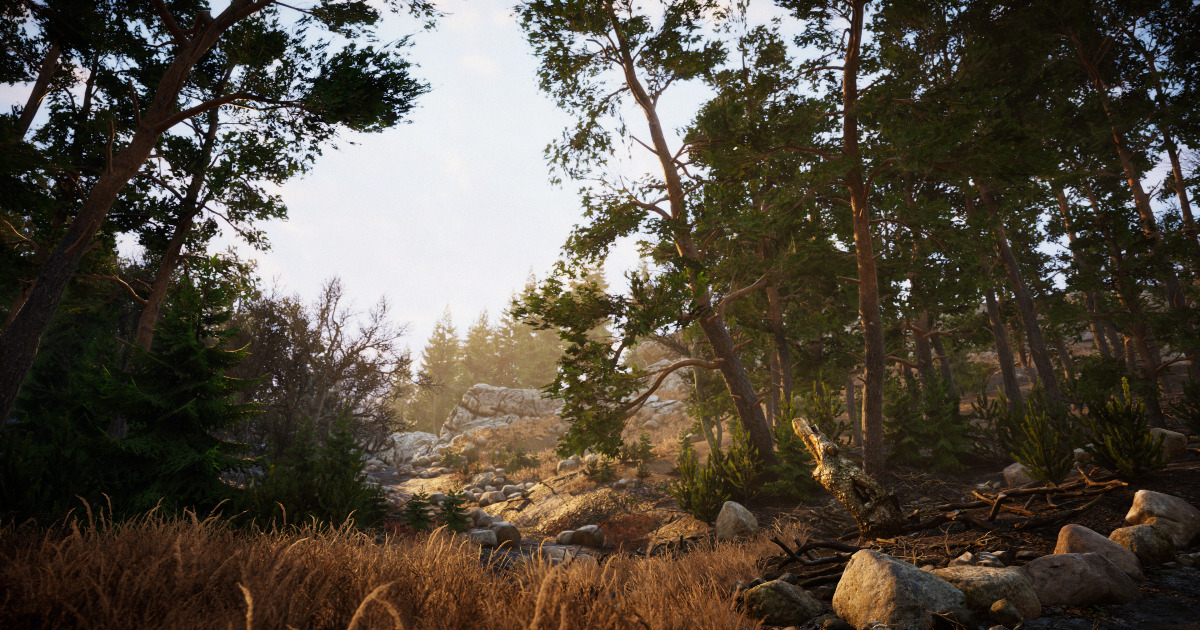 Real Landscapes - Valley Forest | 3D Landscapes | Unity Asset Store