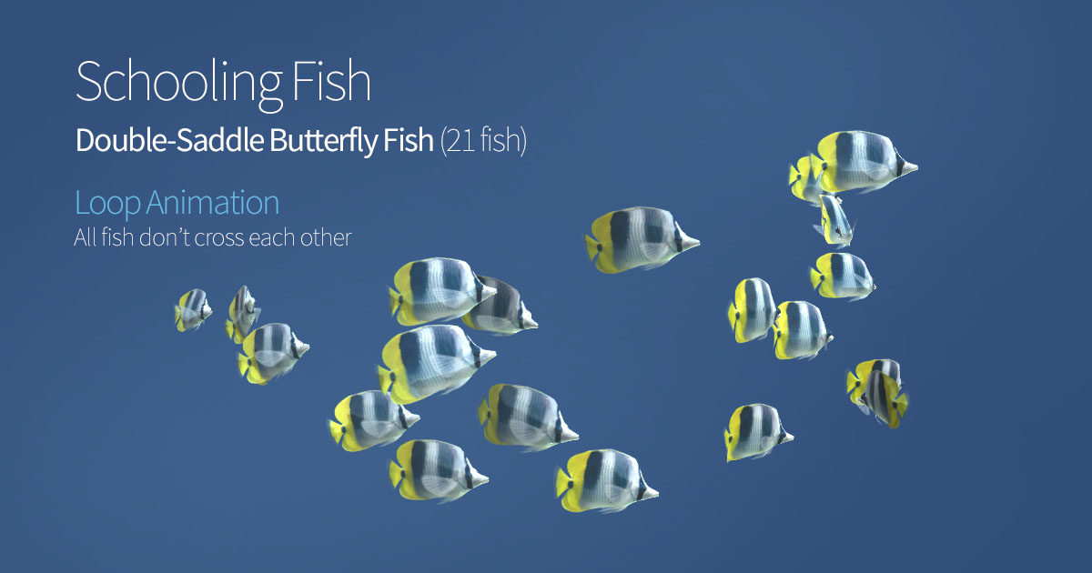 Schooling Double-Saddle Fish | Characters | Unity Asset Store