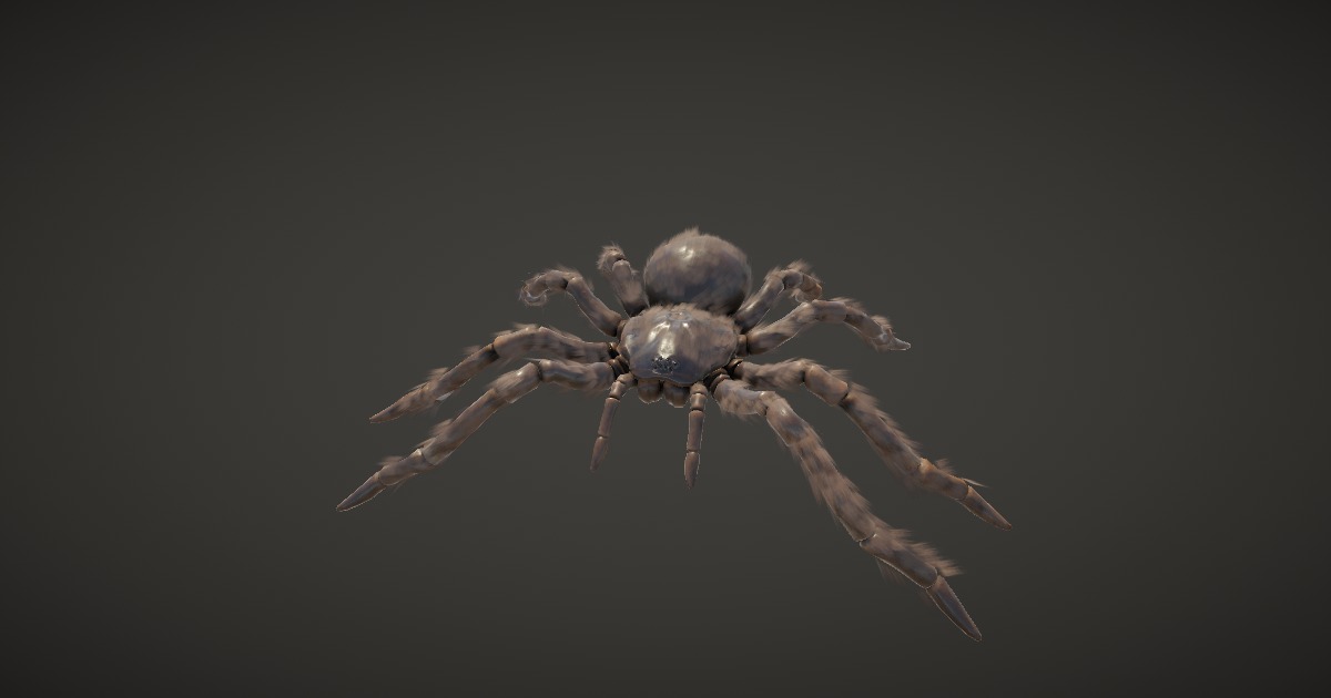 Stylized-Realistic Spider | 3D Animals | Unity Asset Store