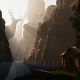 Hidden Peace | Environment