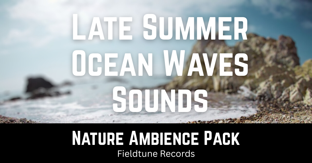 Late Summer Ocean Waves Sounds | Nature Ambient | Unity Asset Store
