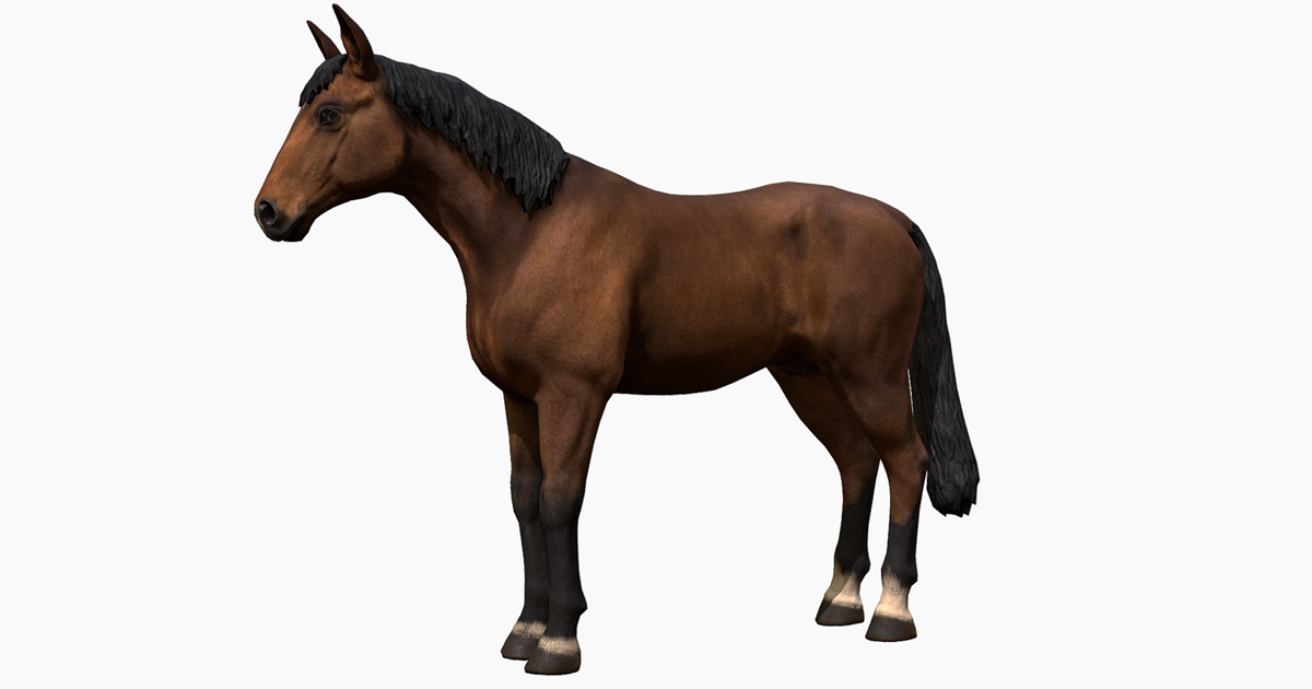 Horse realistic | Characters | Unity Asset Store