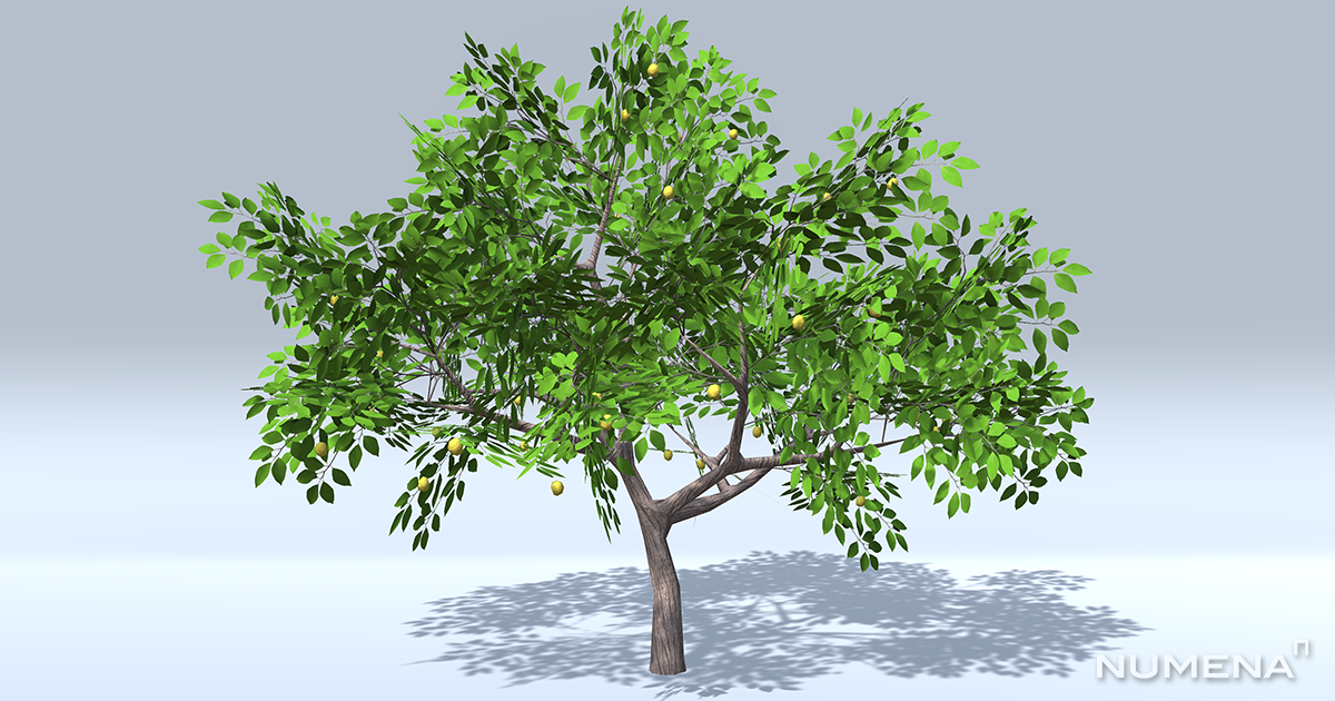 Lemon Trees | 3D Trees | Unity Asset Store