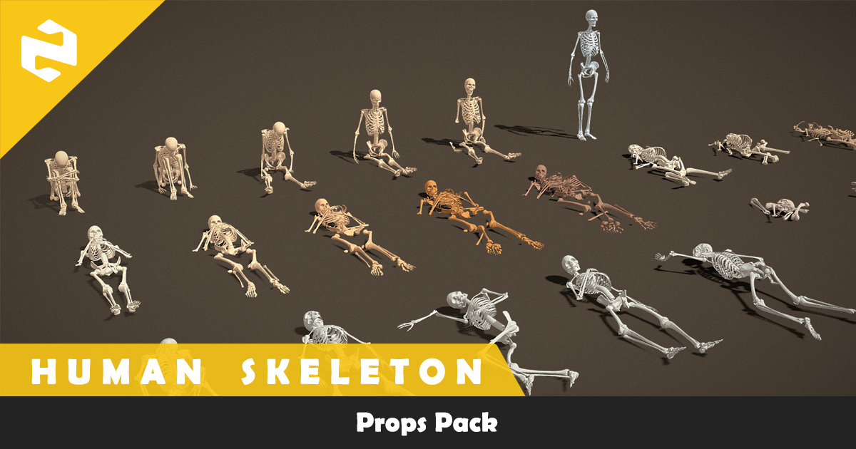 Props Pack - Human Skeleton | 3D Props | Unity Asset Store