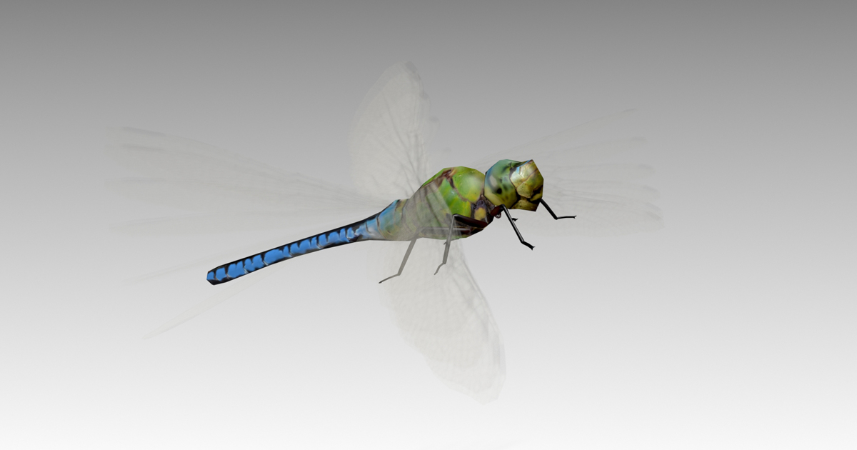 Dragonfly Animated | Characters | Unity Asset Store