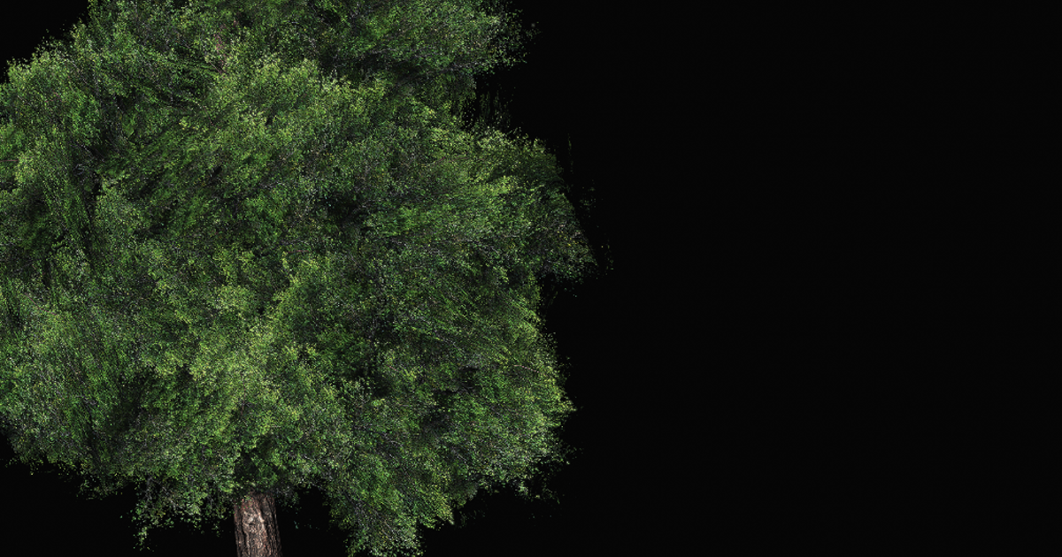 Trees Pack 1 | 3D Trees | Unity Asset Store