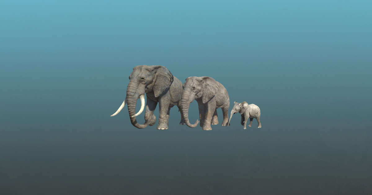 African Animal Elephant Family (Full Version) | Characters | Unity ...