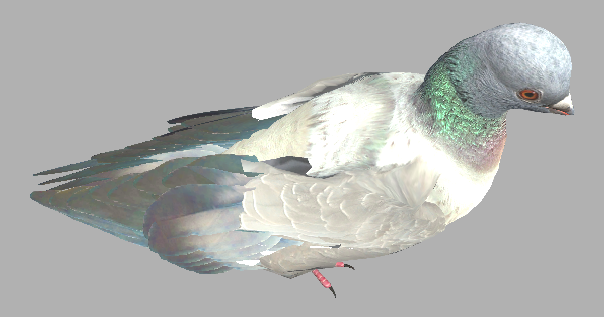 Pigeon | Characters | Unity Asset Store