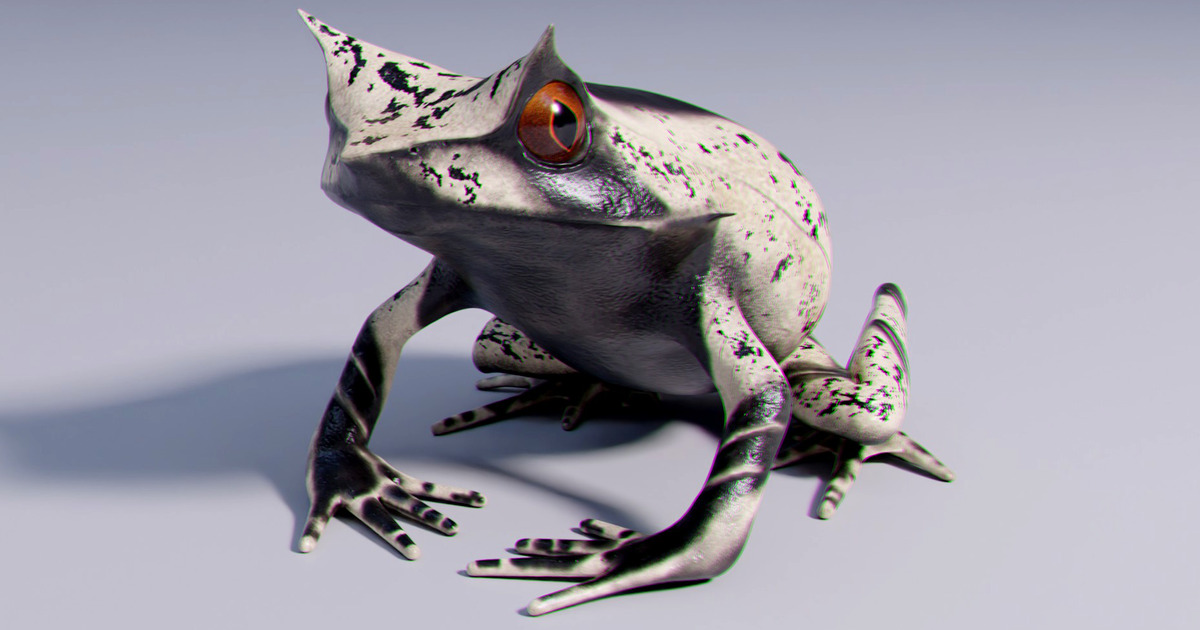 Malayan Horned Frog | 3D Animals | Unity Asset Store