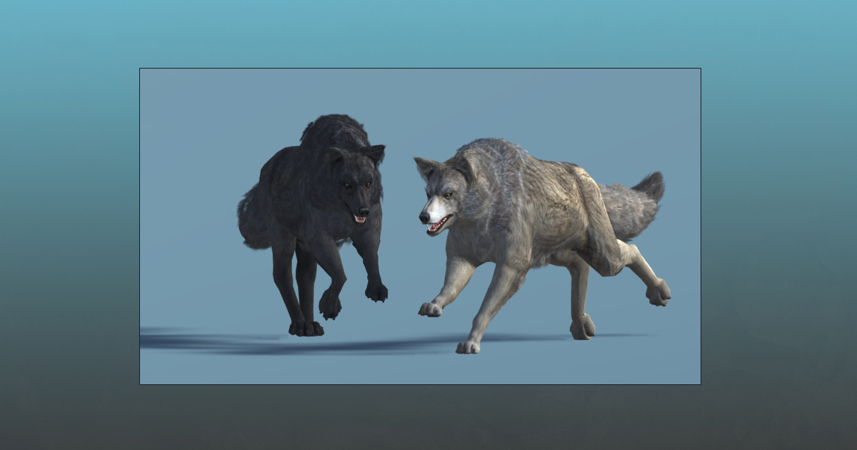 Forest Animal - Wolf | Characters | Unity Asset Store