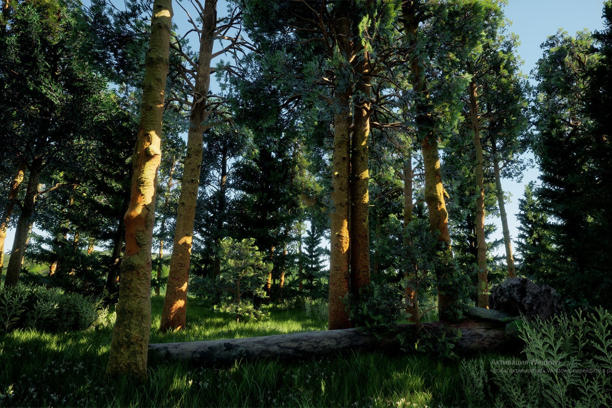 Pine Vegetation Forest | 3D 주변환경 | Unity Asset Store