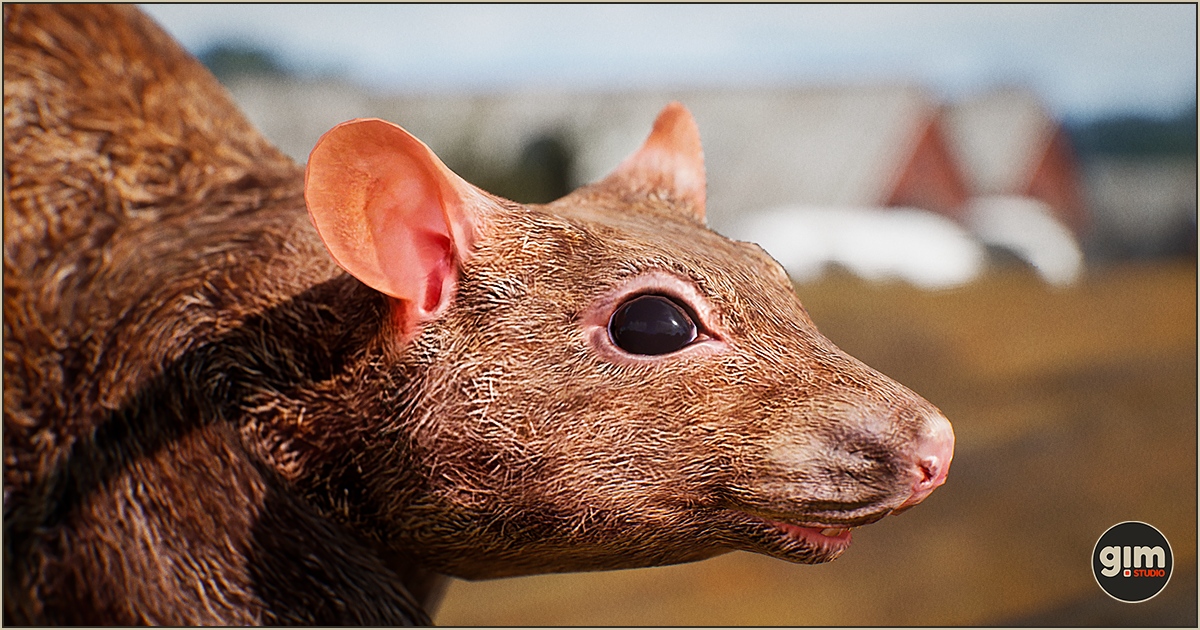 Animalia - Rat | 3D Animals | Unity Asset Store