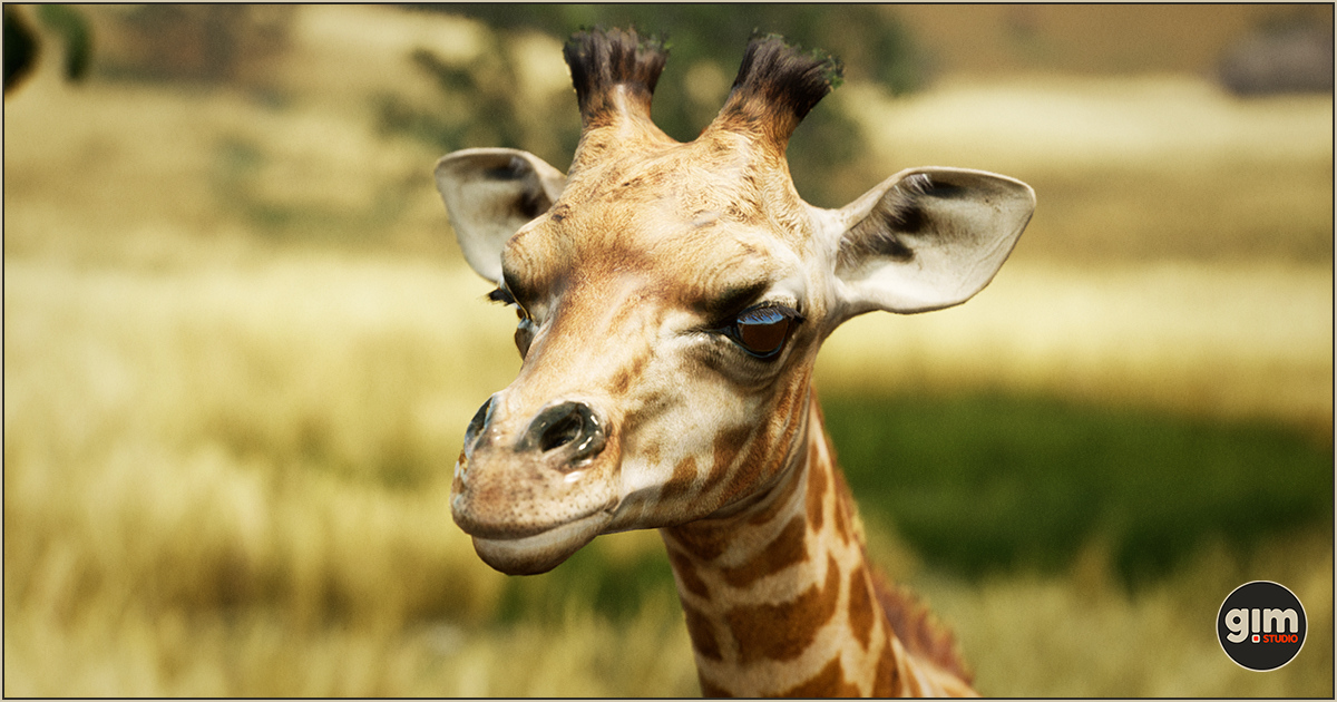 Animalia - Giraffe (young) | 3D Animals | Unity Asset Store