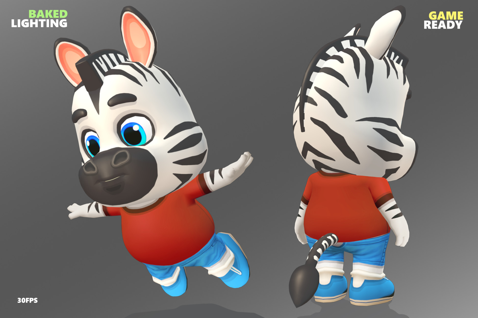 Zebra Animated | Characters | Unity Asset Store