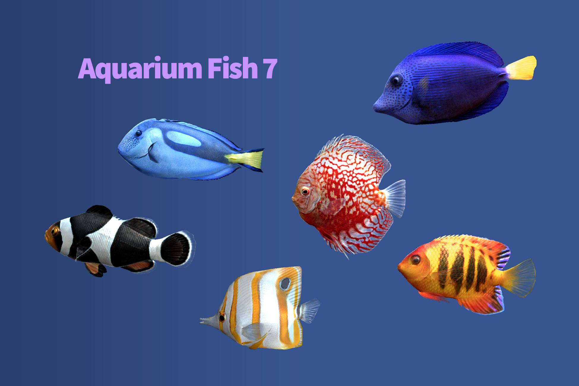 Aquarium Fish 7 | Characters | Unity Asset Store