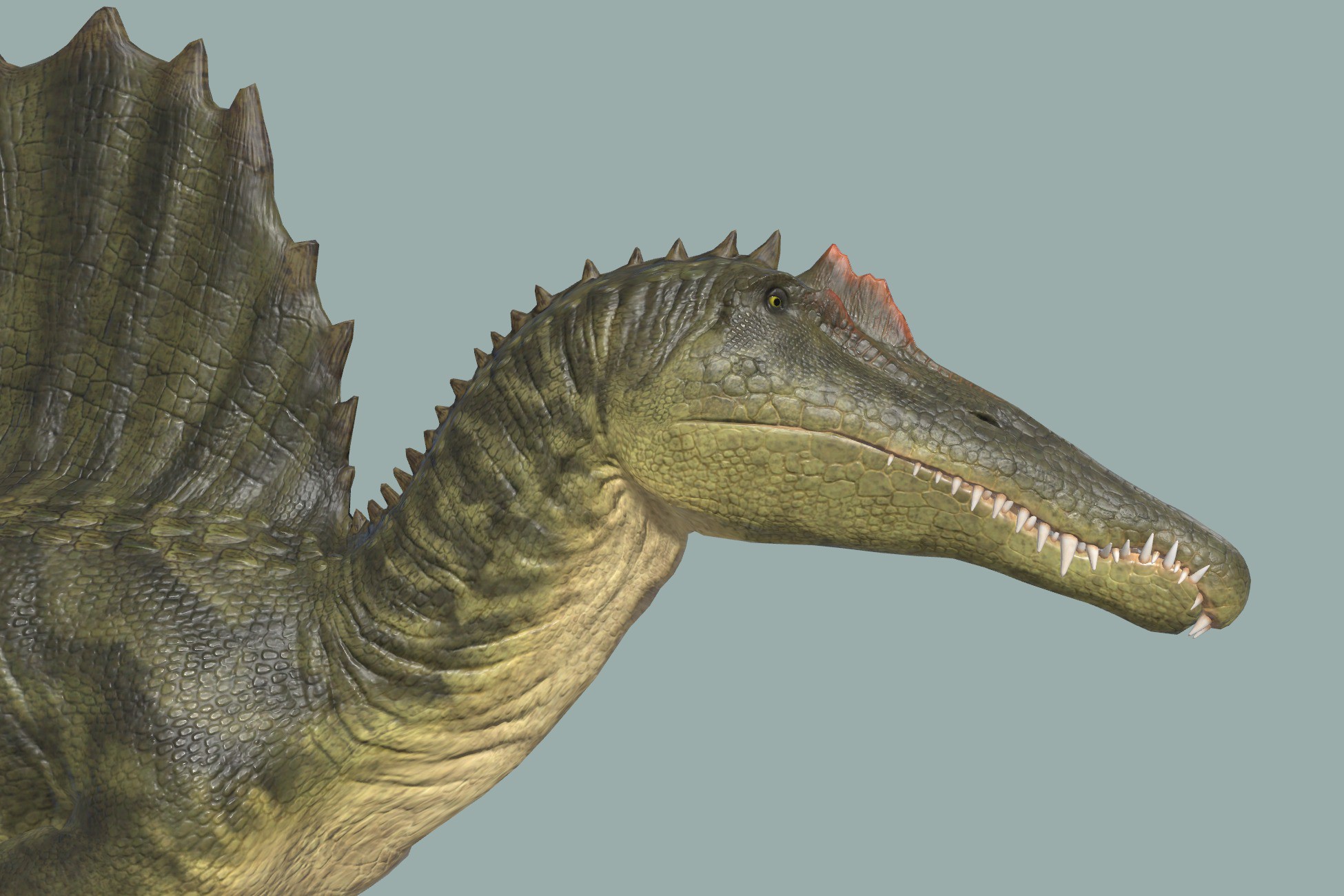 Dinosaur Spinosaurus | Characters | Unity Asset Store
