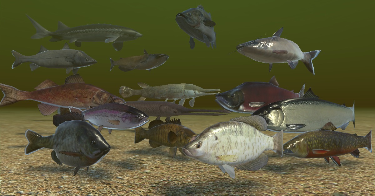 Freshwater Fish vol 1 | Characters | Unity Asset Store