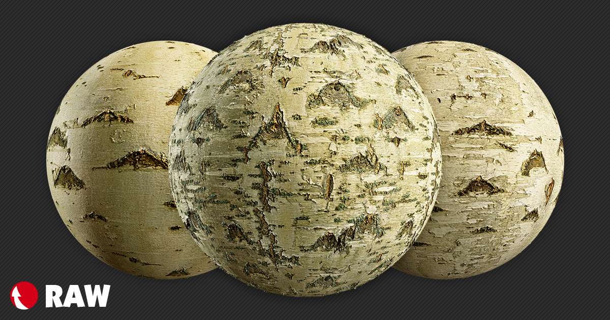 Birch Bark Textures Pack #4 | 2D Wood | Unity Asset Store