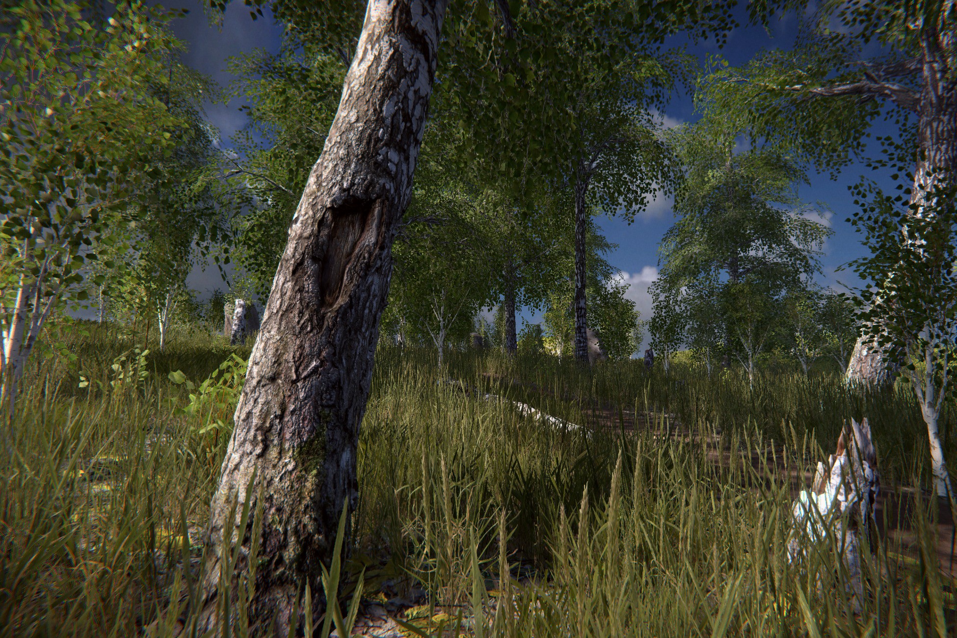 Scanned Birch Wood | 3D Vegetation | Unity Asset Store
