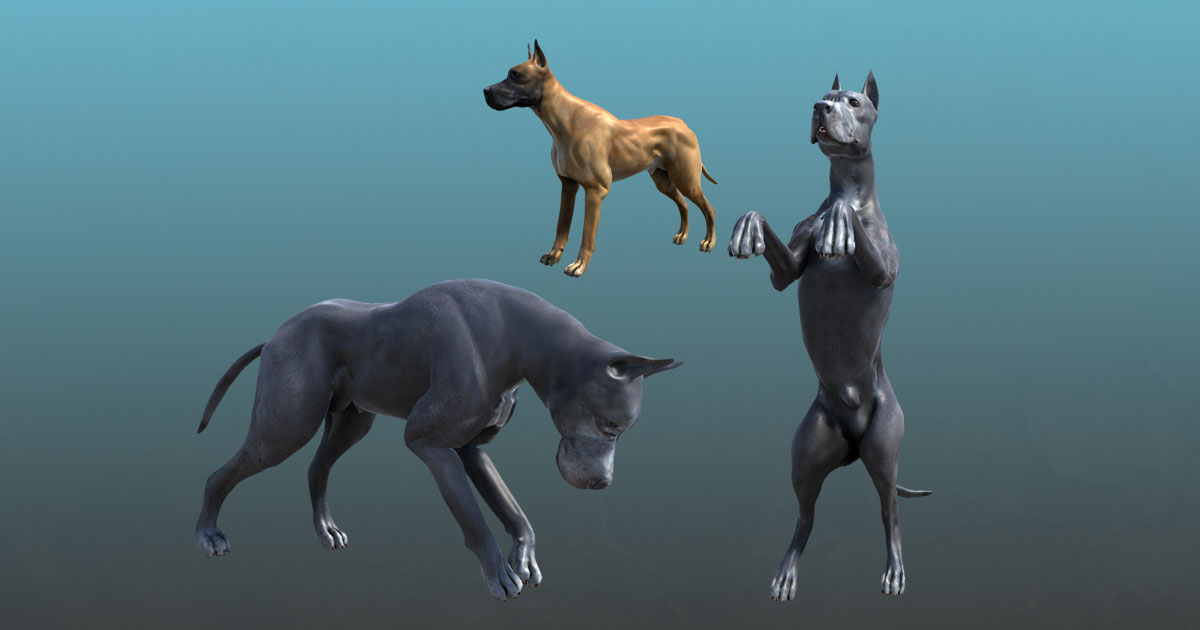 Dog Dane (SV) Single | 3D | Unity Asset Store