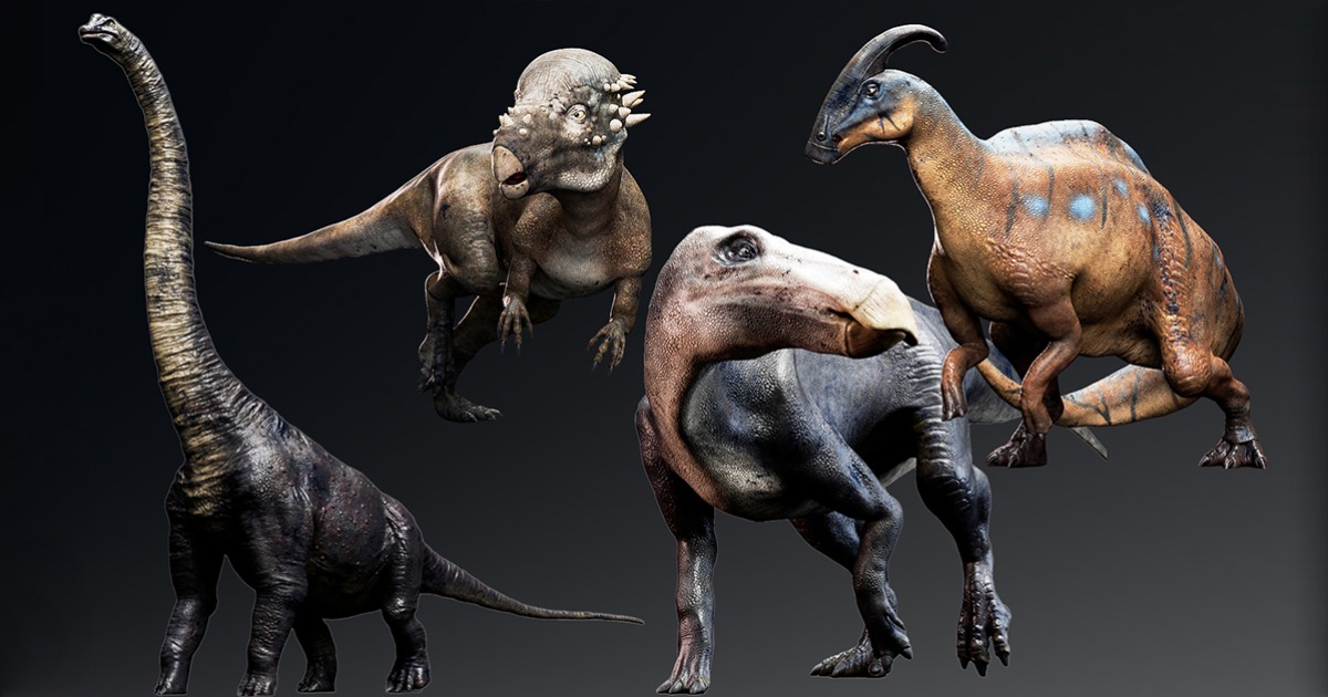Dinosaur E Classes Dinosaur Bundle | 3D Creatures | Unity Asset Store