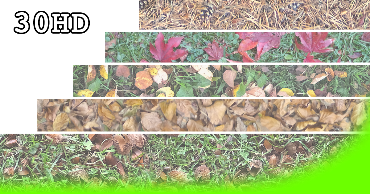 30 HD Forest Ground Textures Pack | 2D Floors | Unity Asset Store