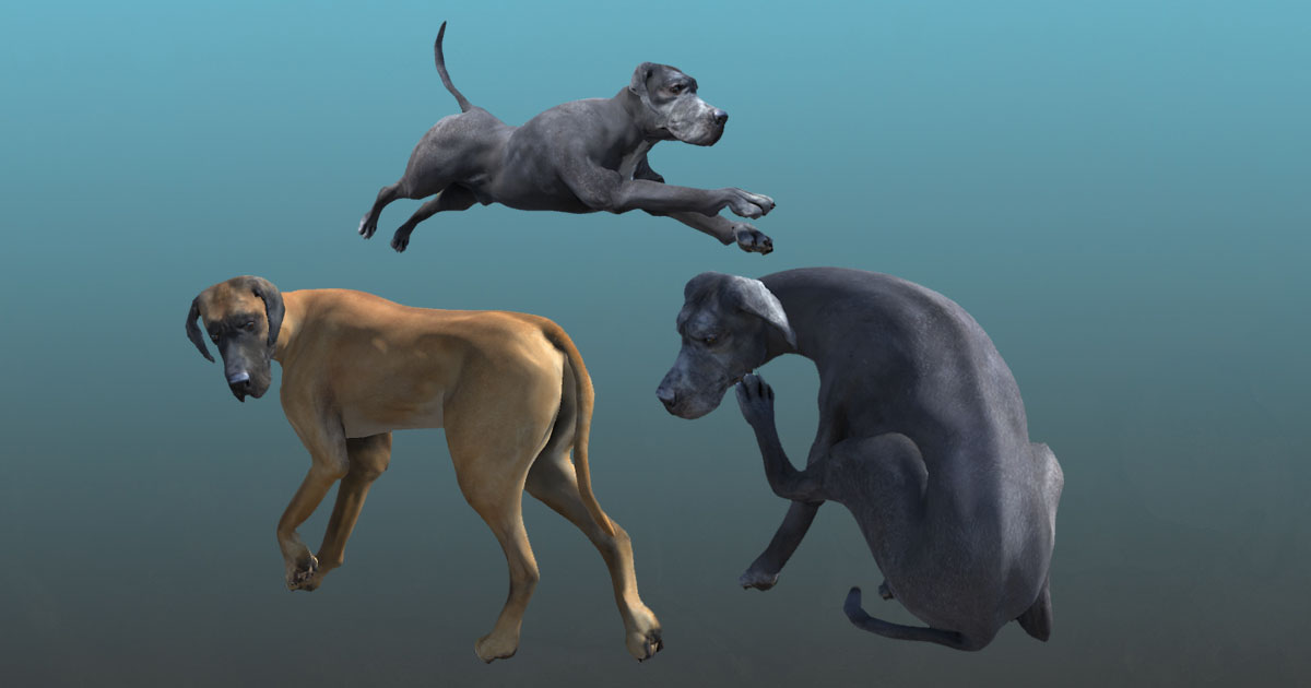 Dog Dane01 (SV) Single | Characters | Unity Asset Store