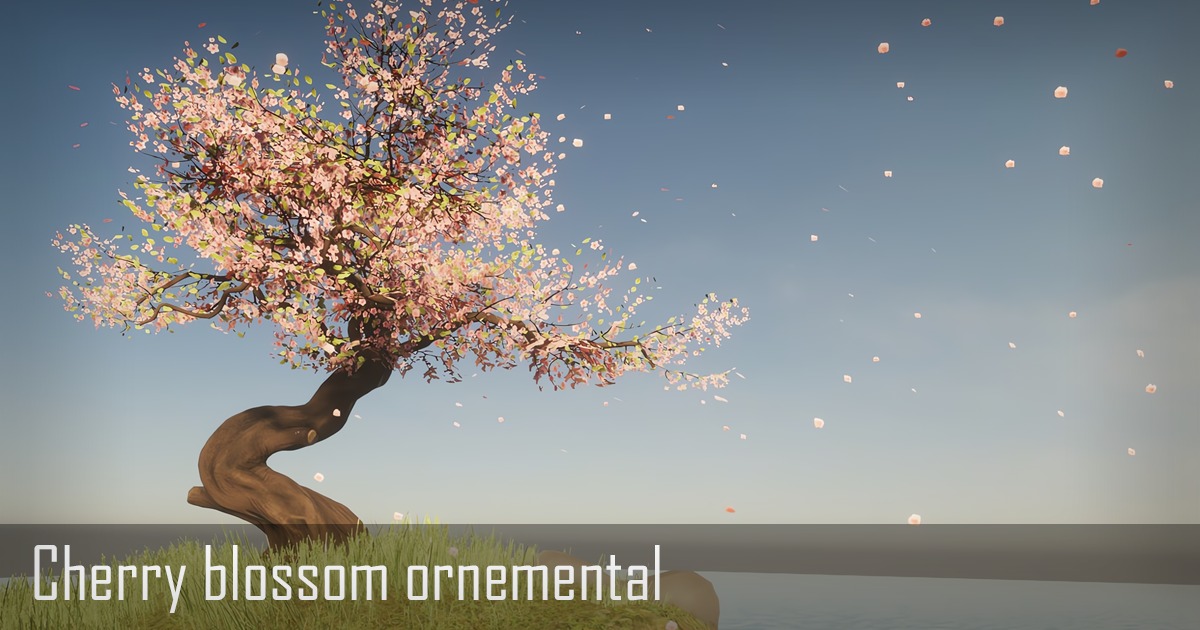 Cherry blossom ornemental | 3D Trees | Unity Asset Store