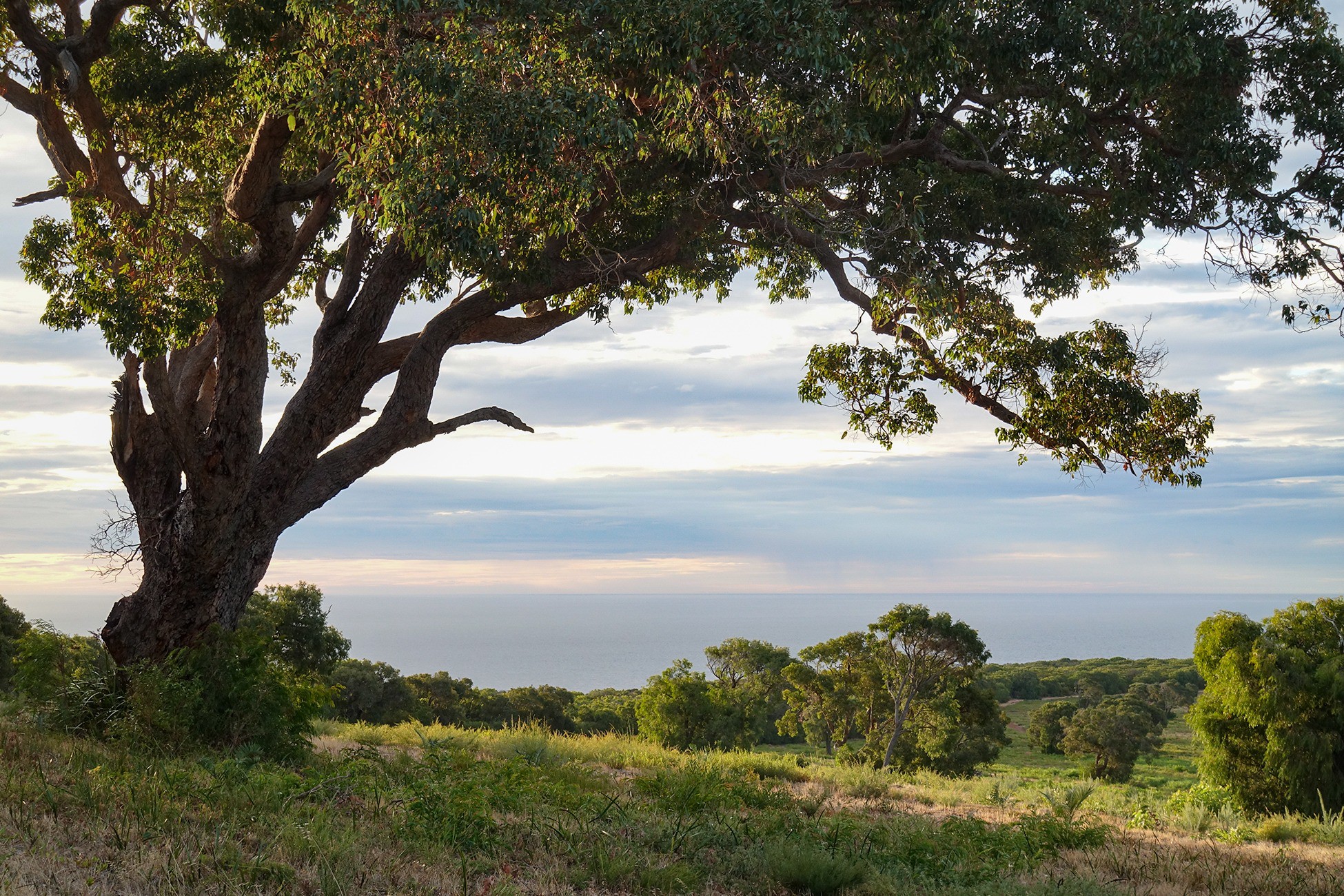 Sounds of Australia - Natural ambiences | Nature Ambient | Unity Asset ...
