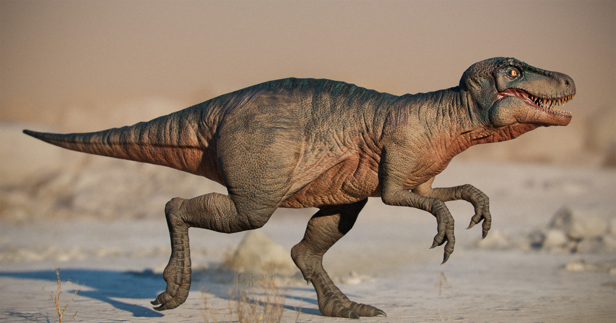 Dinosaur 1 | Characters | Unity Asset Store