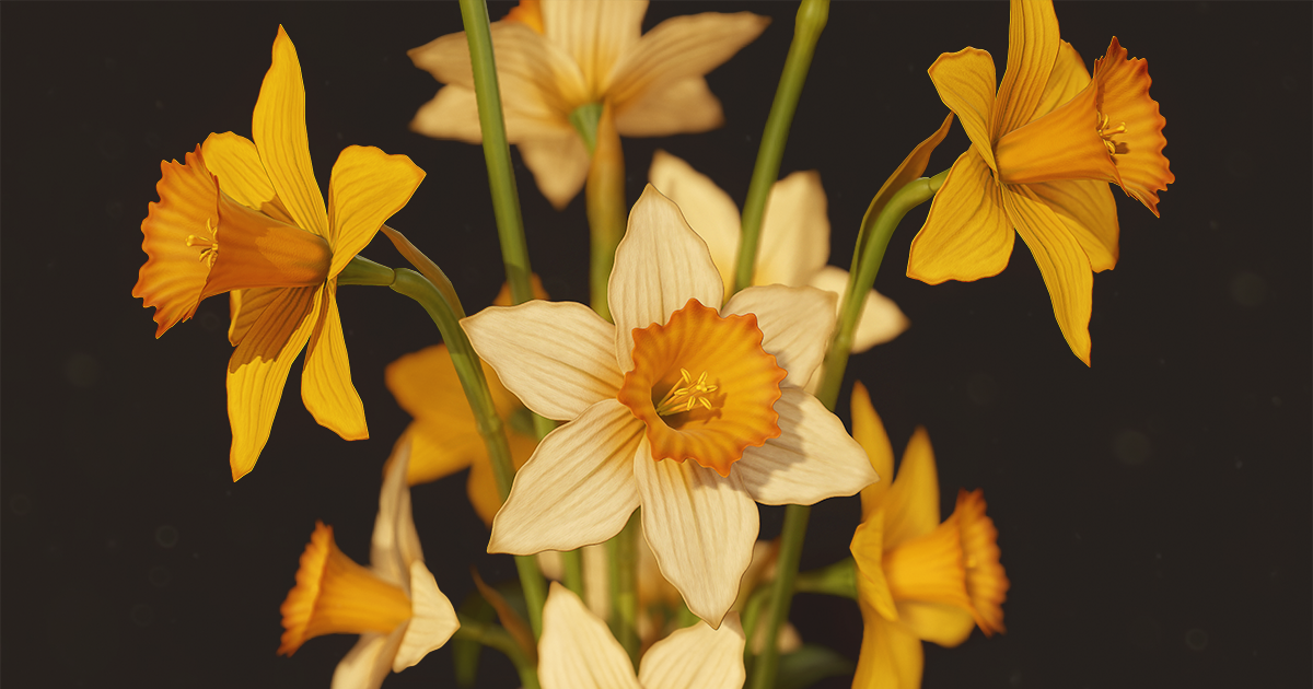 House Plants・Bouquets and Potted Plants | 3D Flowers | Unity Asset Store