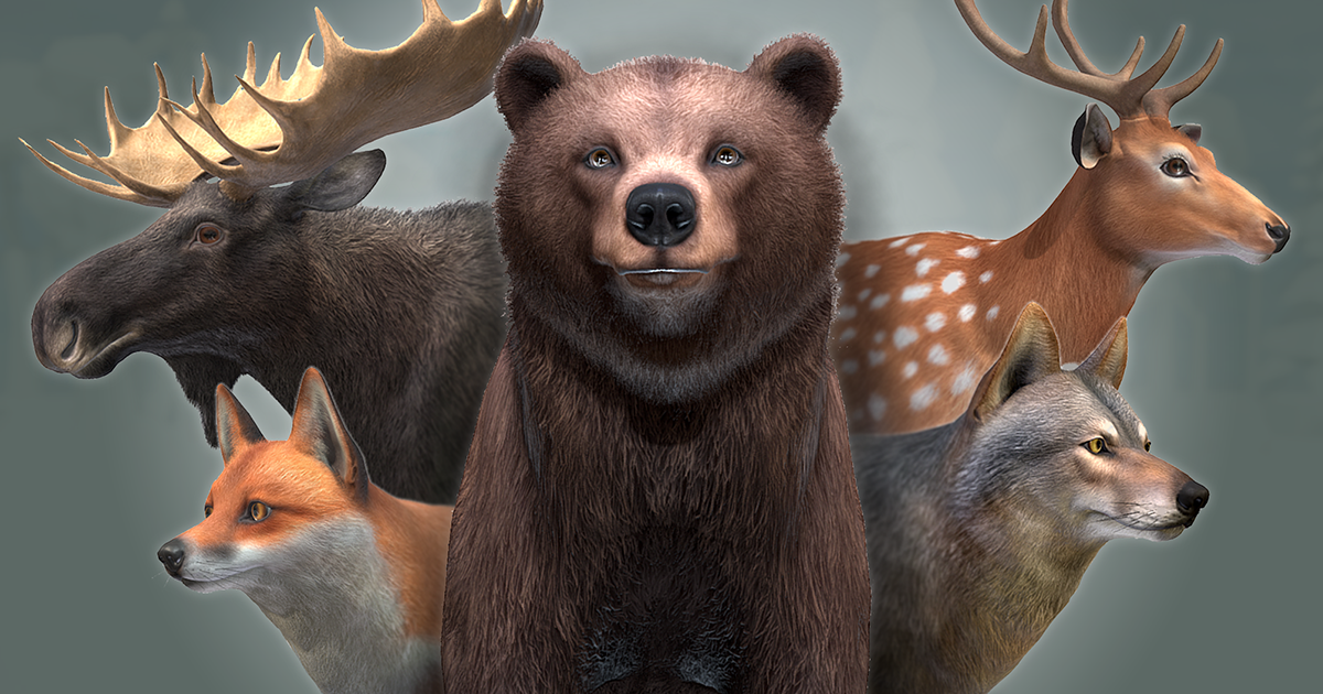 Forest animals 2.0 | 3D Animals | Unity Asset Store