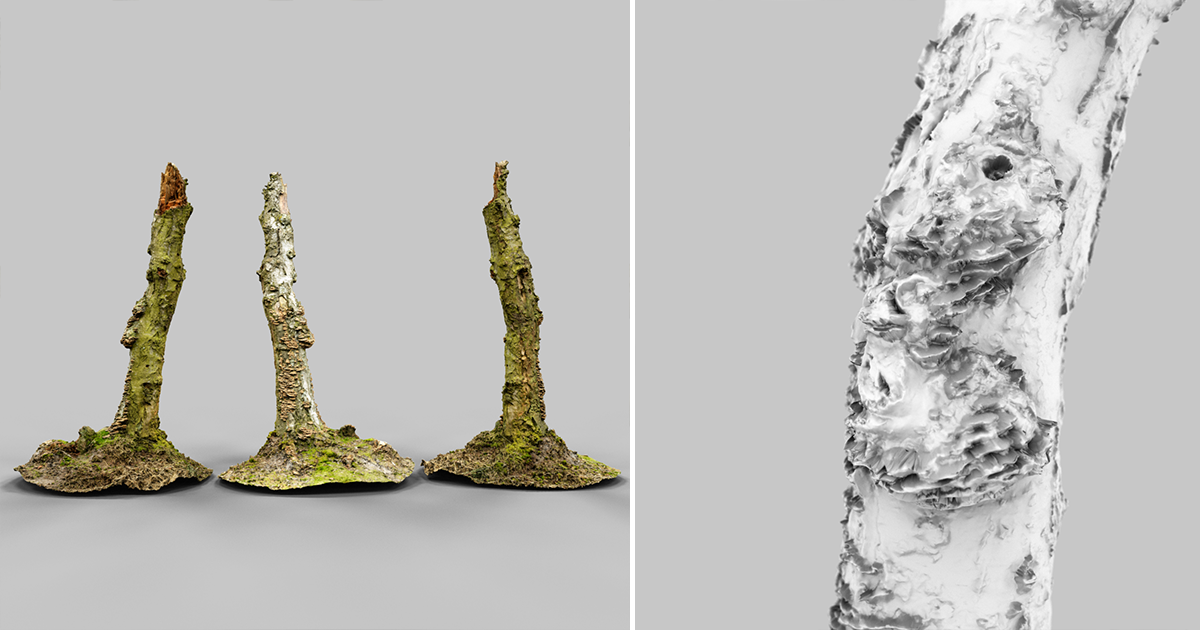 Cute Tree Stump | 3D Trees | Unity Asset Store