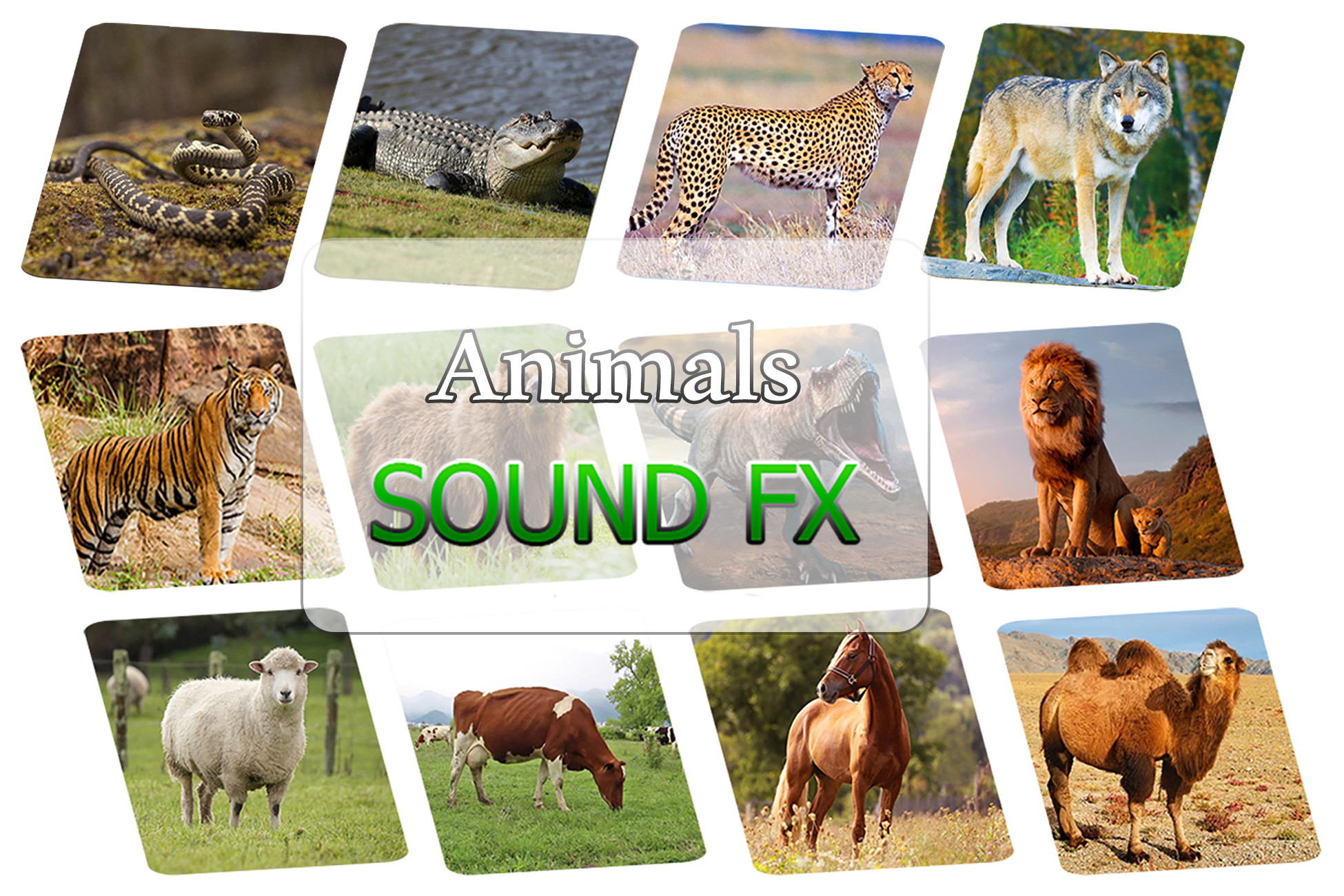 Animals SFX | Audio Sound FX | Unity Asset Store