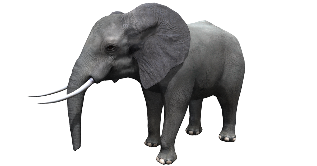 African Elephant | Characters | Unity Asset Store