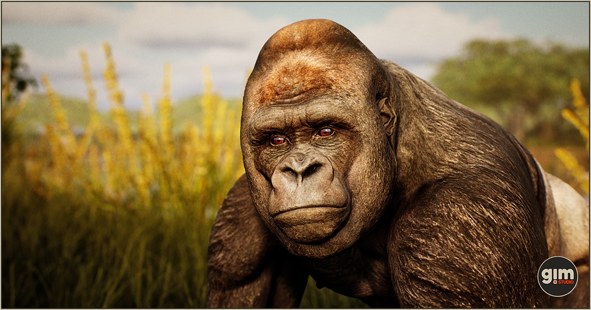Animalia - Gorilla (male) | 3D Characters | Unity Asset Store