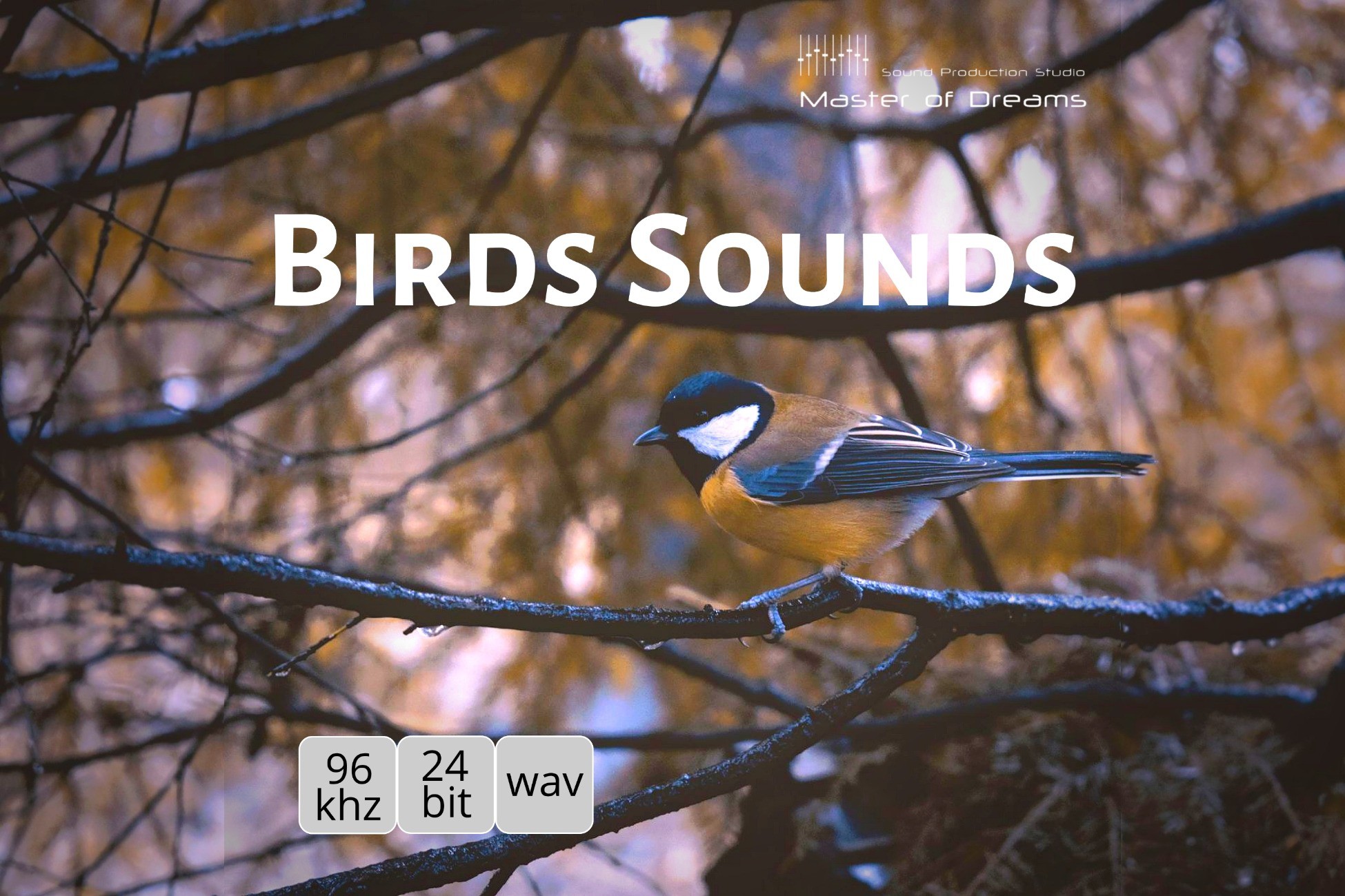 Birds Sounds | Nature Ambient | Unity Asset Store