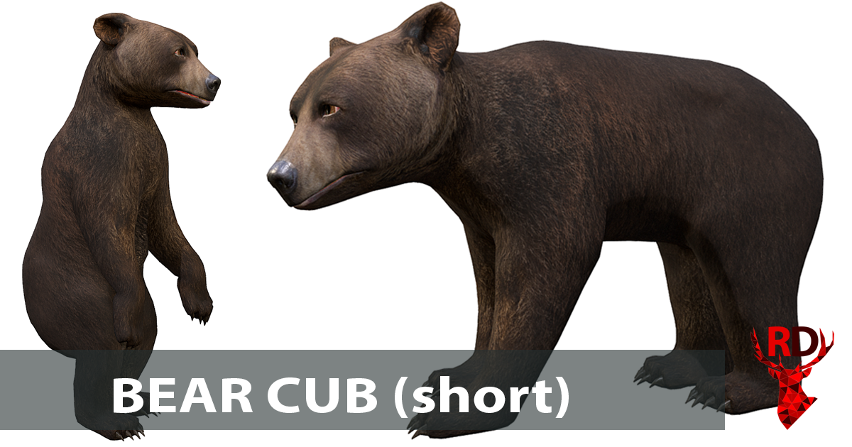 Bear cub (short) | Characters | Unity Asset Store