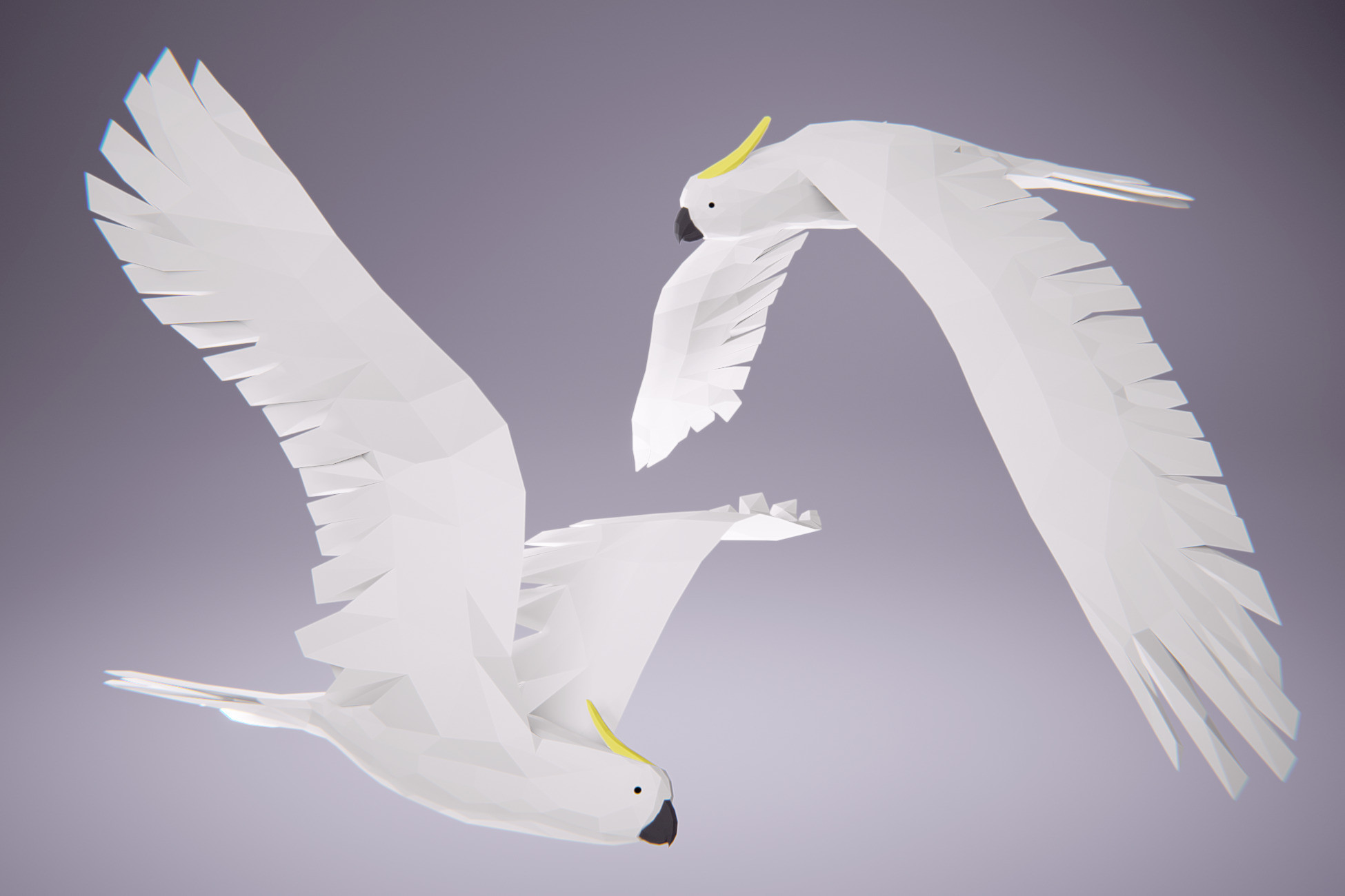 Low Poly Bird: Cockatoo | Characters | Unity Asset Store