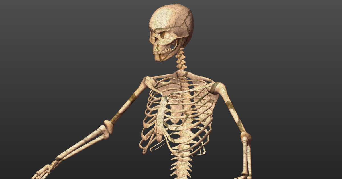 Skeleton-Low Poly | 3D Humanoids | Unity Asset Store