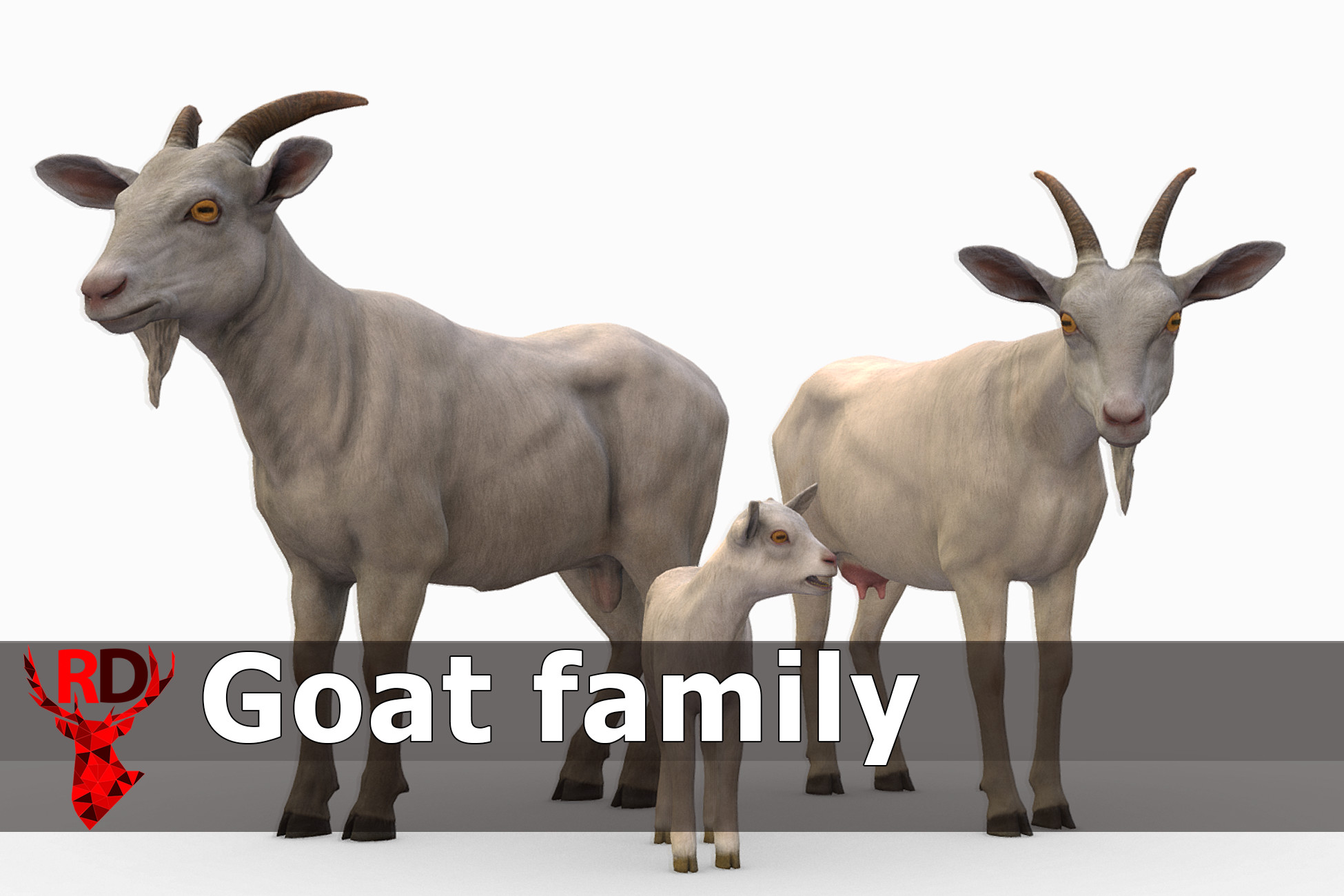 Goat family | Characters | Unity Asset Store