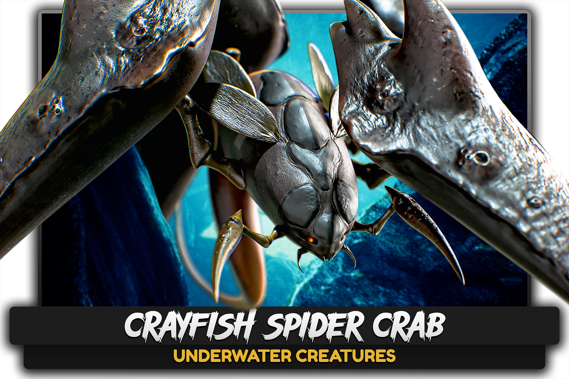 Crayfish Spider Crab | low poly fish | Ocean predator | Crustacea 3d ...