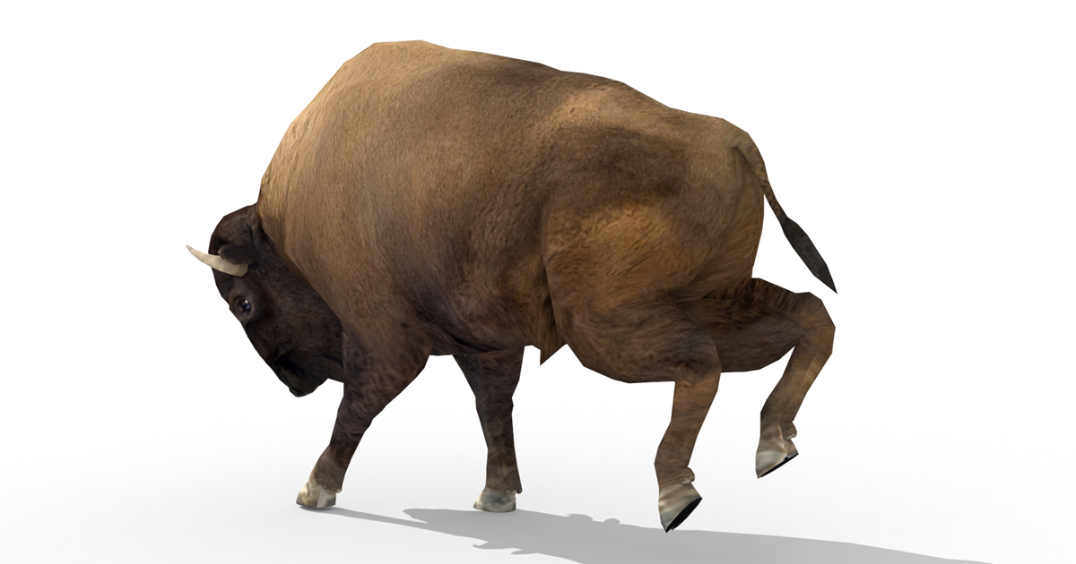 American Buffalo | Characters | Unity Asset Store