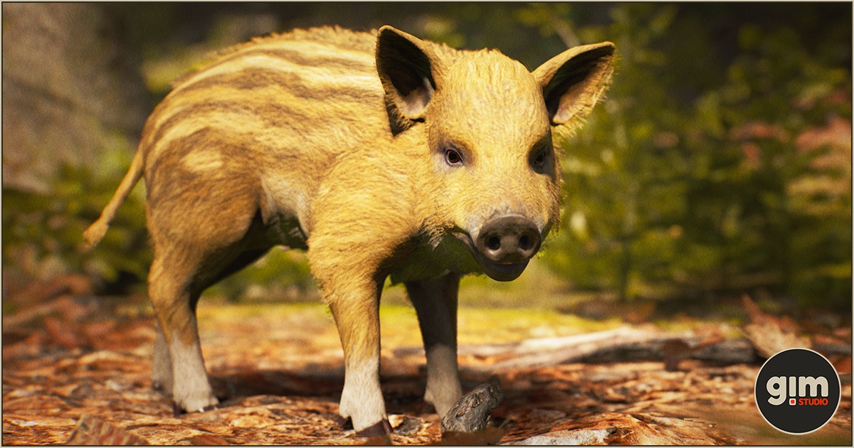 Animalia - Wild Boar (young) | 3D Animals | Unity Asset Store
