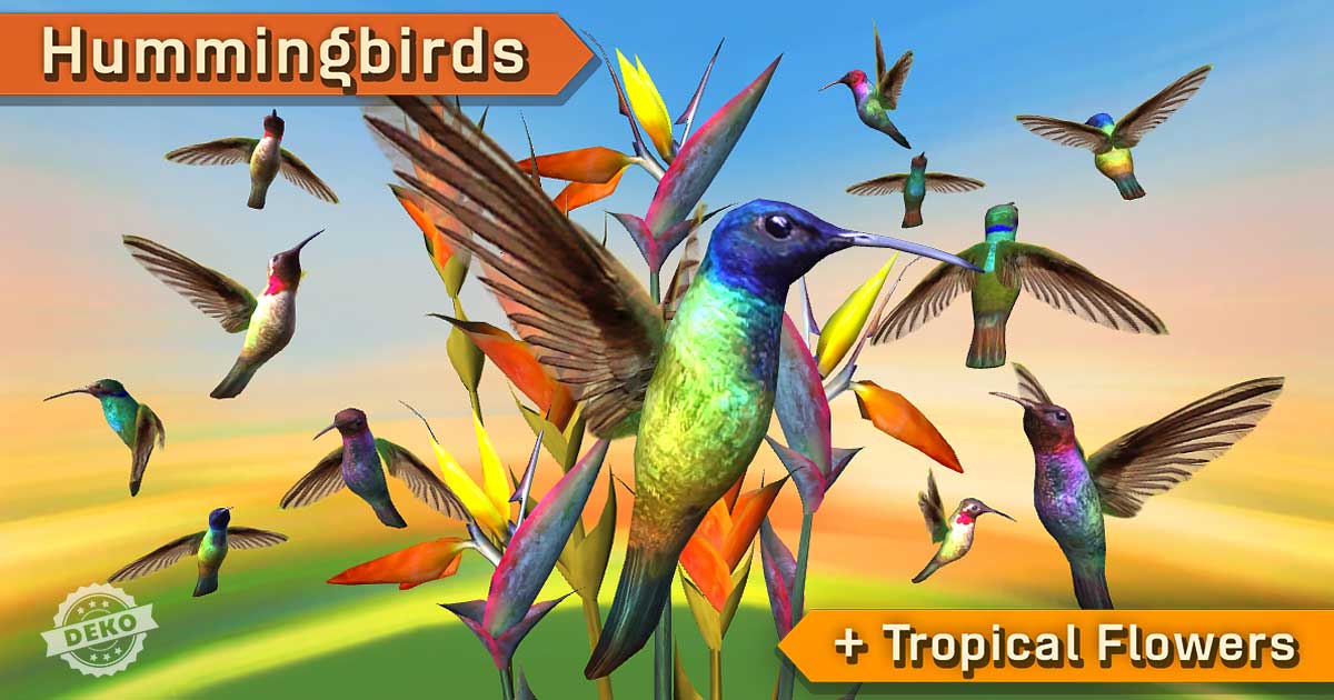 Hummingbirds + Tropical Flowers | Characters | Unity Asset Store