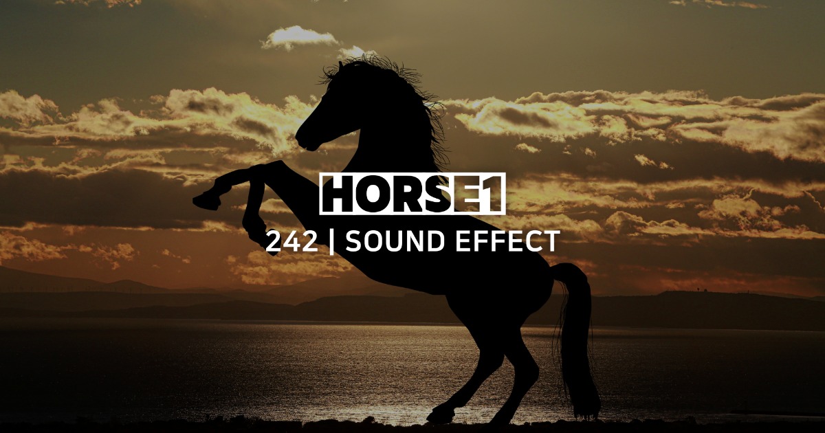 Horse1 Sound | Audio Sound FX | Unity Asset Store