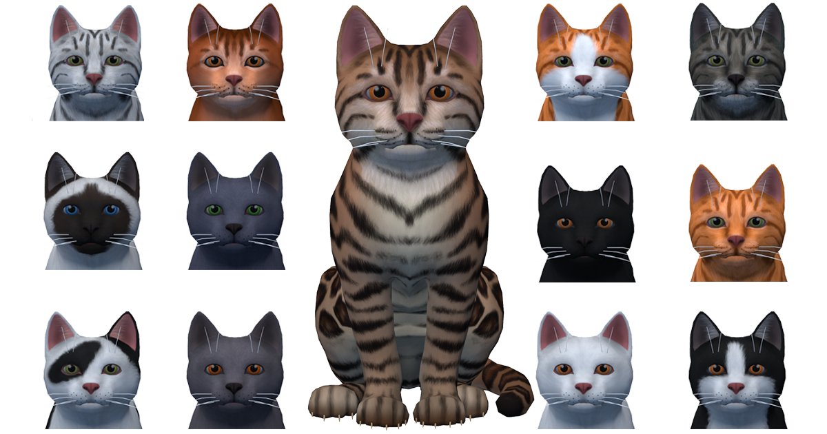 Cartoon Cats pack | Characters | Unity Asset Store
