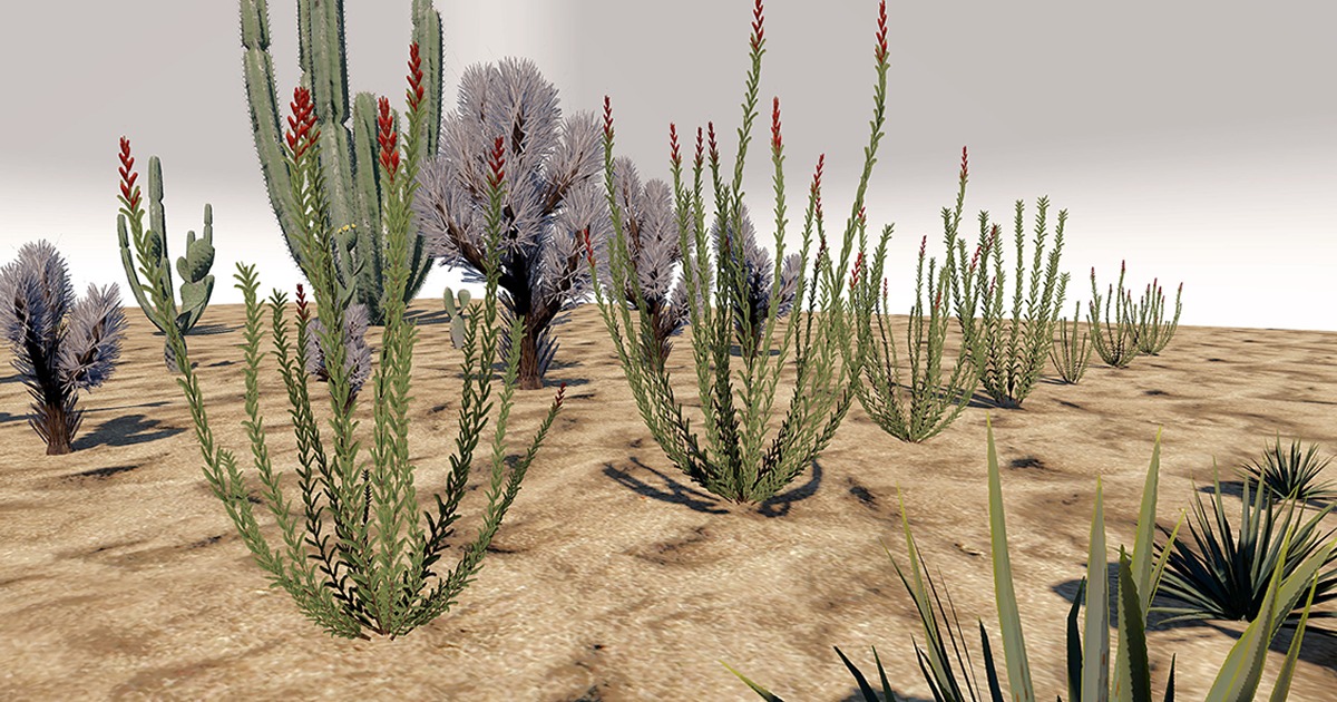 Gen3 Desert Kitbash01 | 3D 식물 | Unity Asset Store