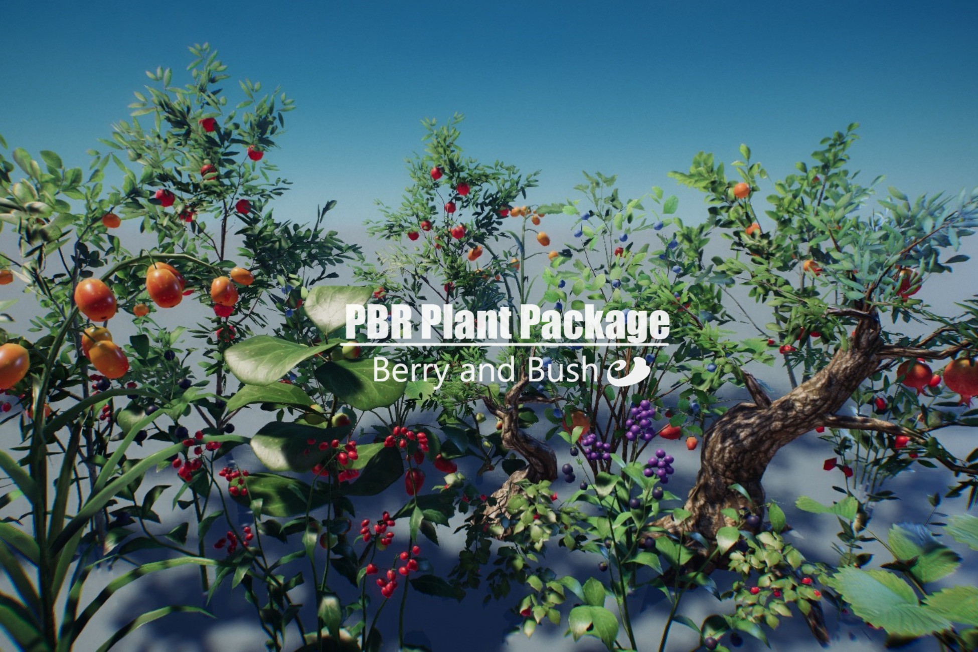 Bush And Berry | 3D Vegetation | Unity Asset Store